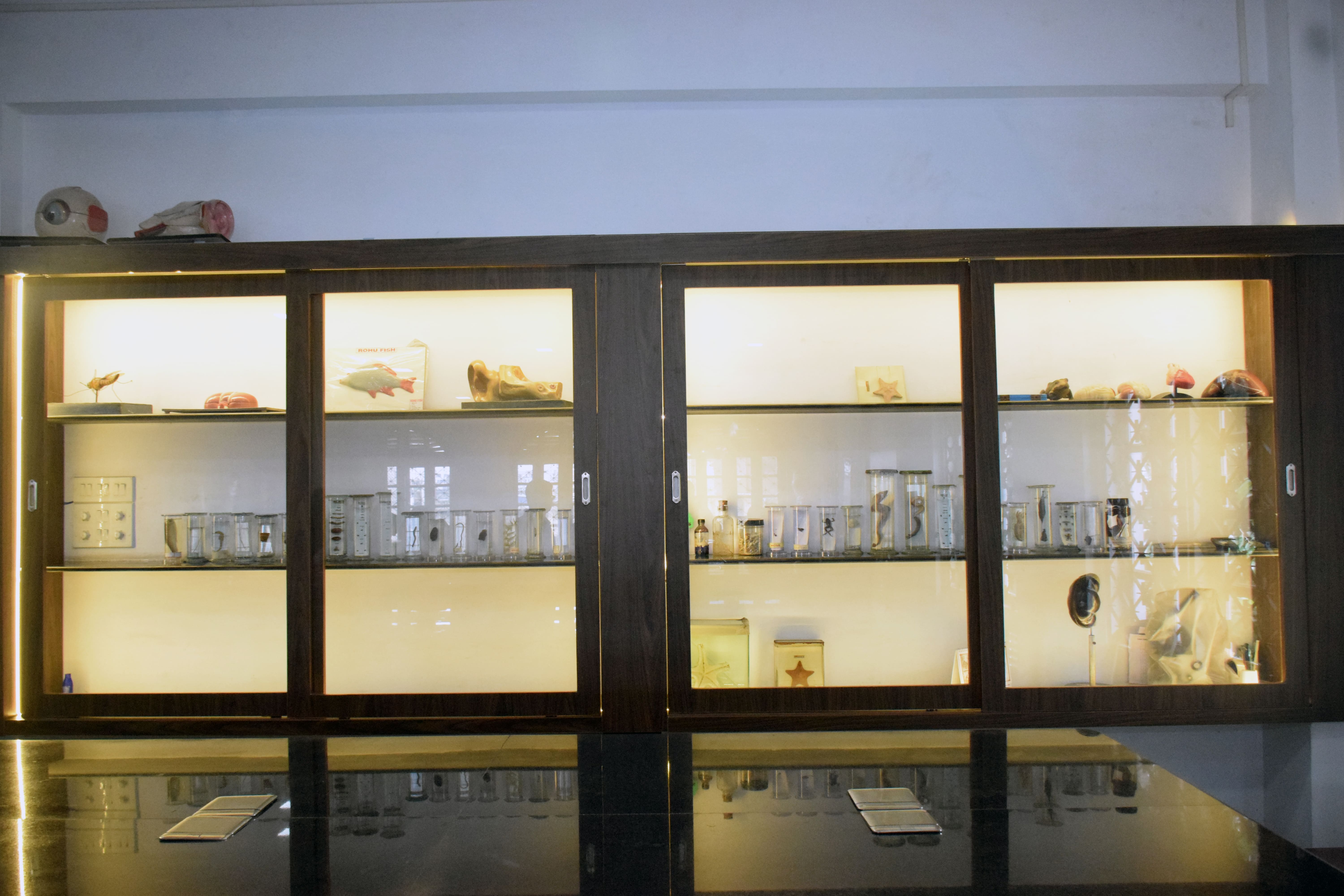 BiologyLab calcutta-boys-school